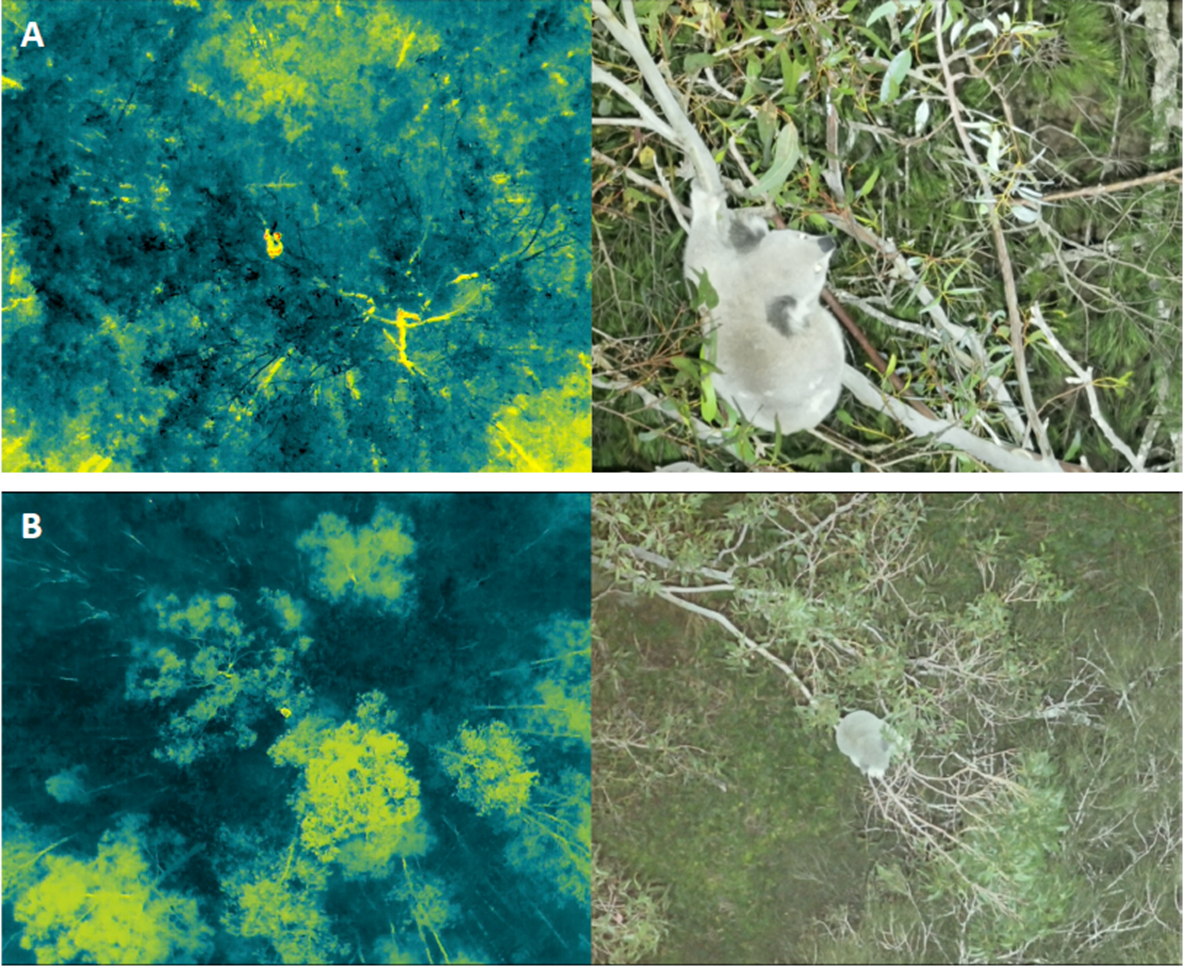 Hunter Water congratulates Darren Cleary on appointment to lead Sydney ...